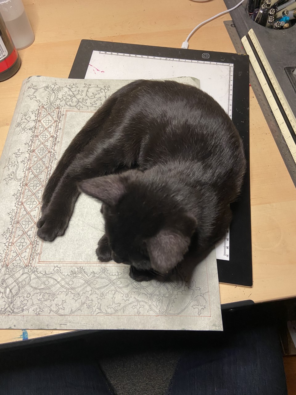 Cats and Scrolls – Thegn, Master, Sir Seved Ribbing, SCA